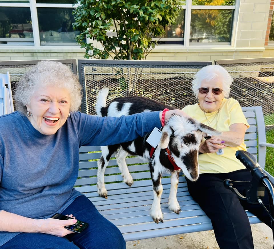 Oak Trace Senior Living Community Hosts Yoga ‘Goat-Together’ – Senior ...