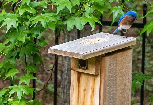 Boomers Changing the Rules of Retirement – Senior Living News